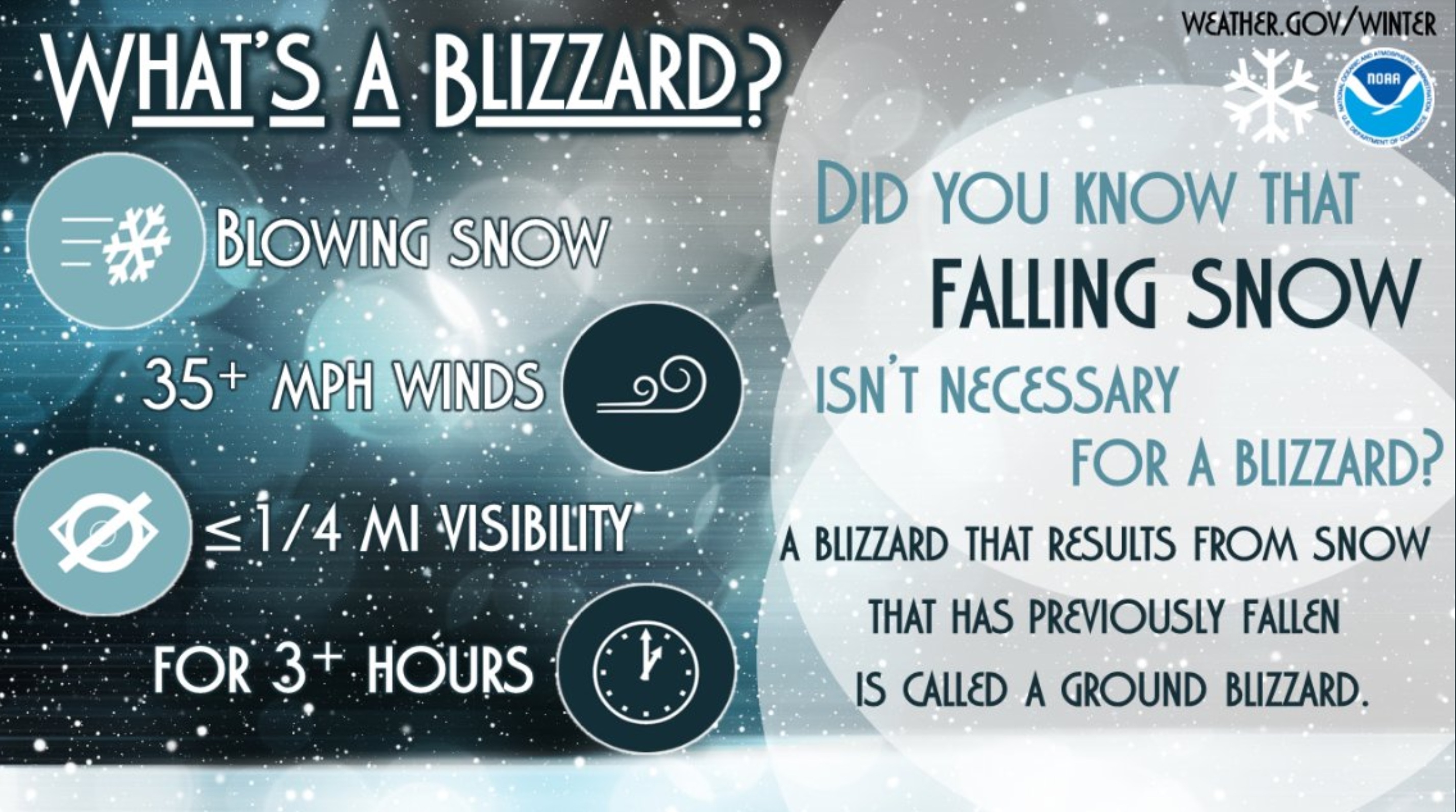 Blizzard of 2026 for Minnesota | Weather Loon